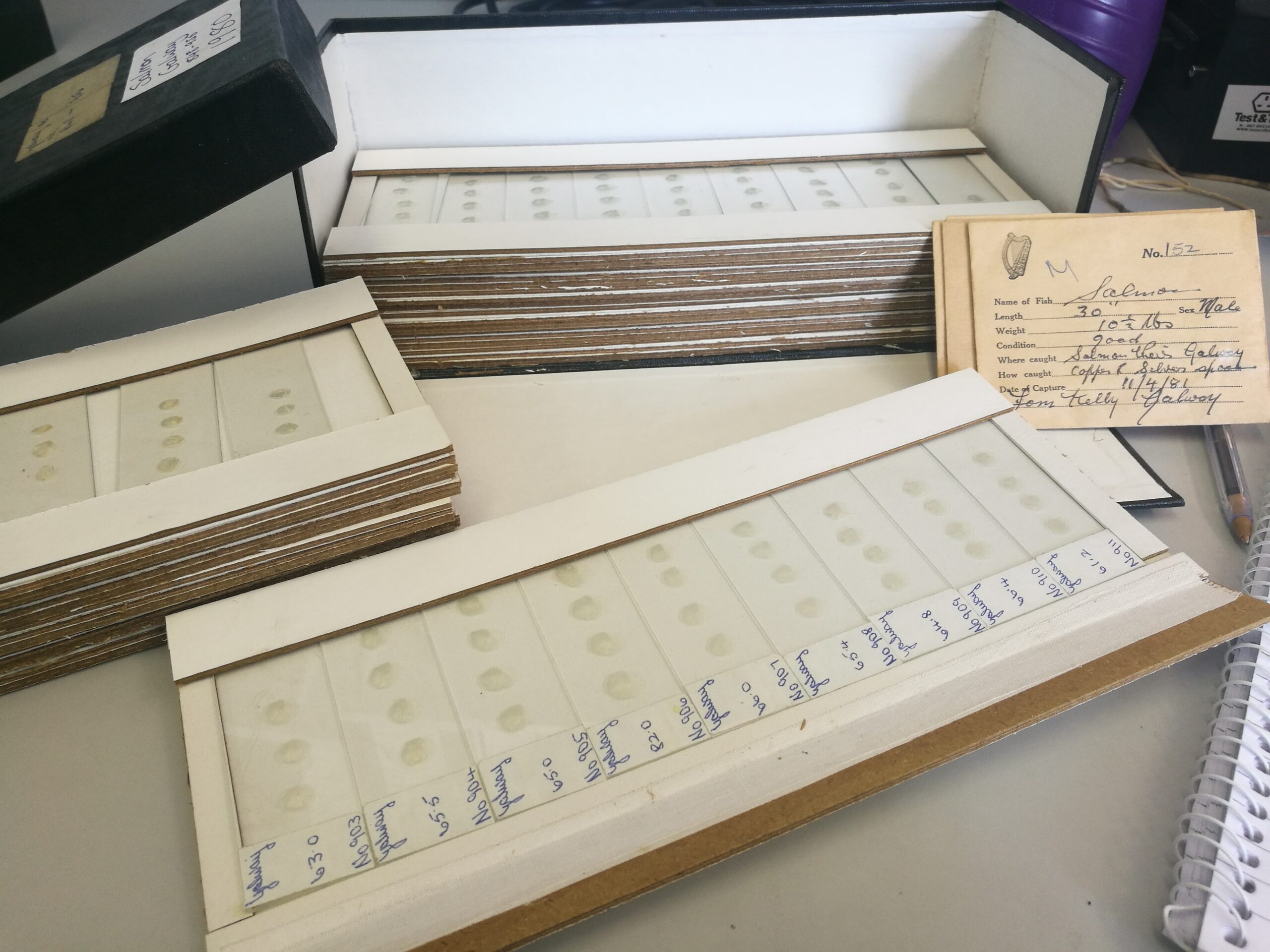 Unlocking the archive - ATU Marine and Freshwater Research Centre