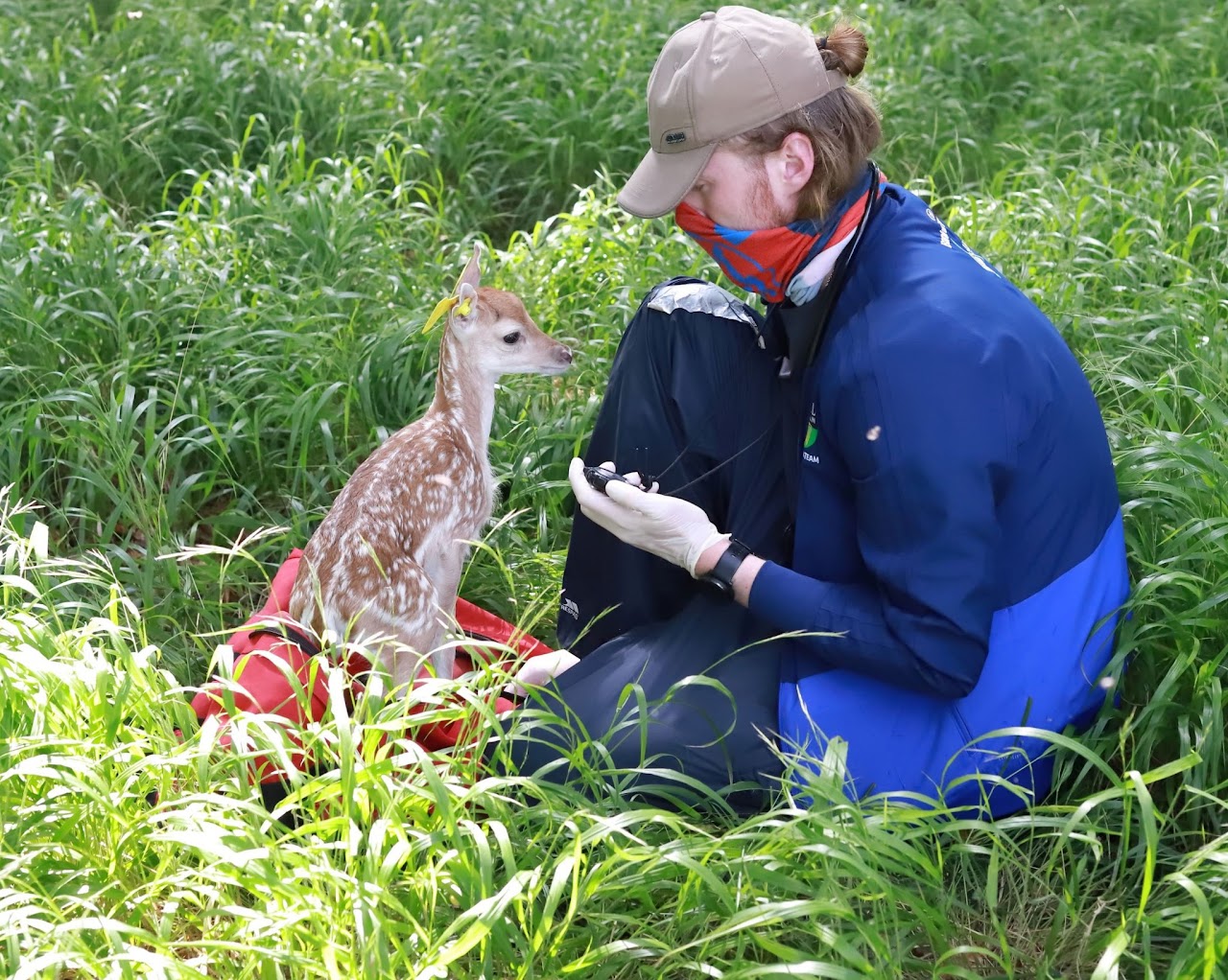 Breeding Waders European Innovation Partnership - ATU Marine and ...